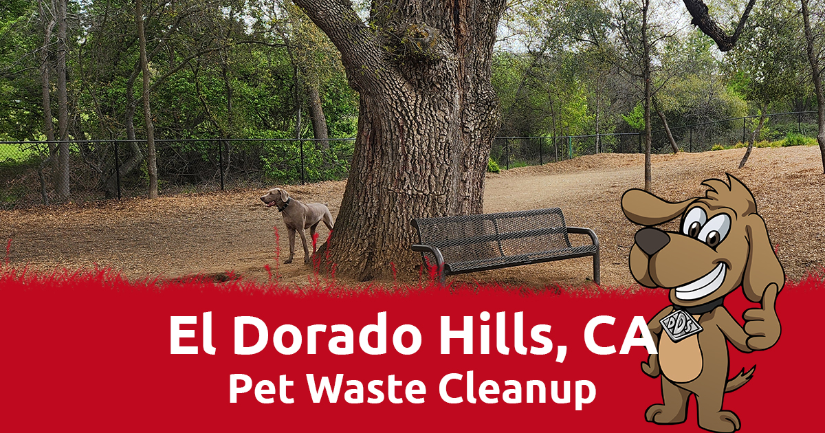 Pet Waste Cleanup in El Dorado Hills, CA | Doo Doo Squad