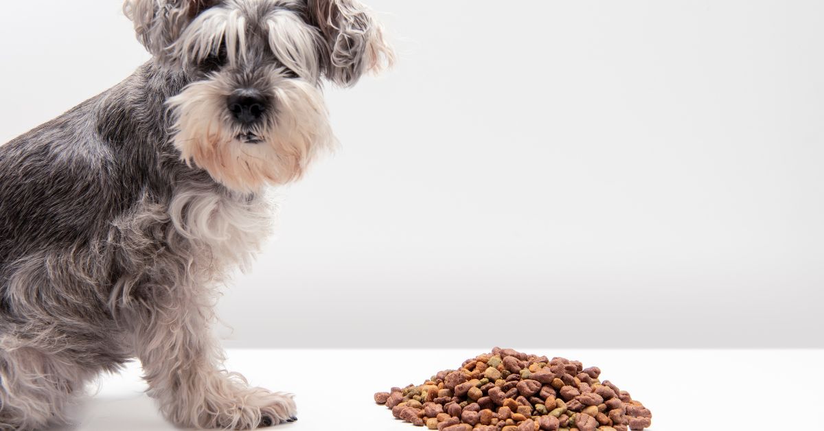 5 Proven Tips for Picky Eaters: Doo Doo Squad's Guide