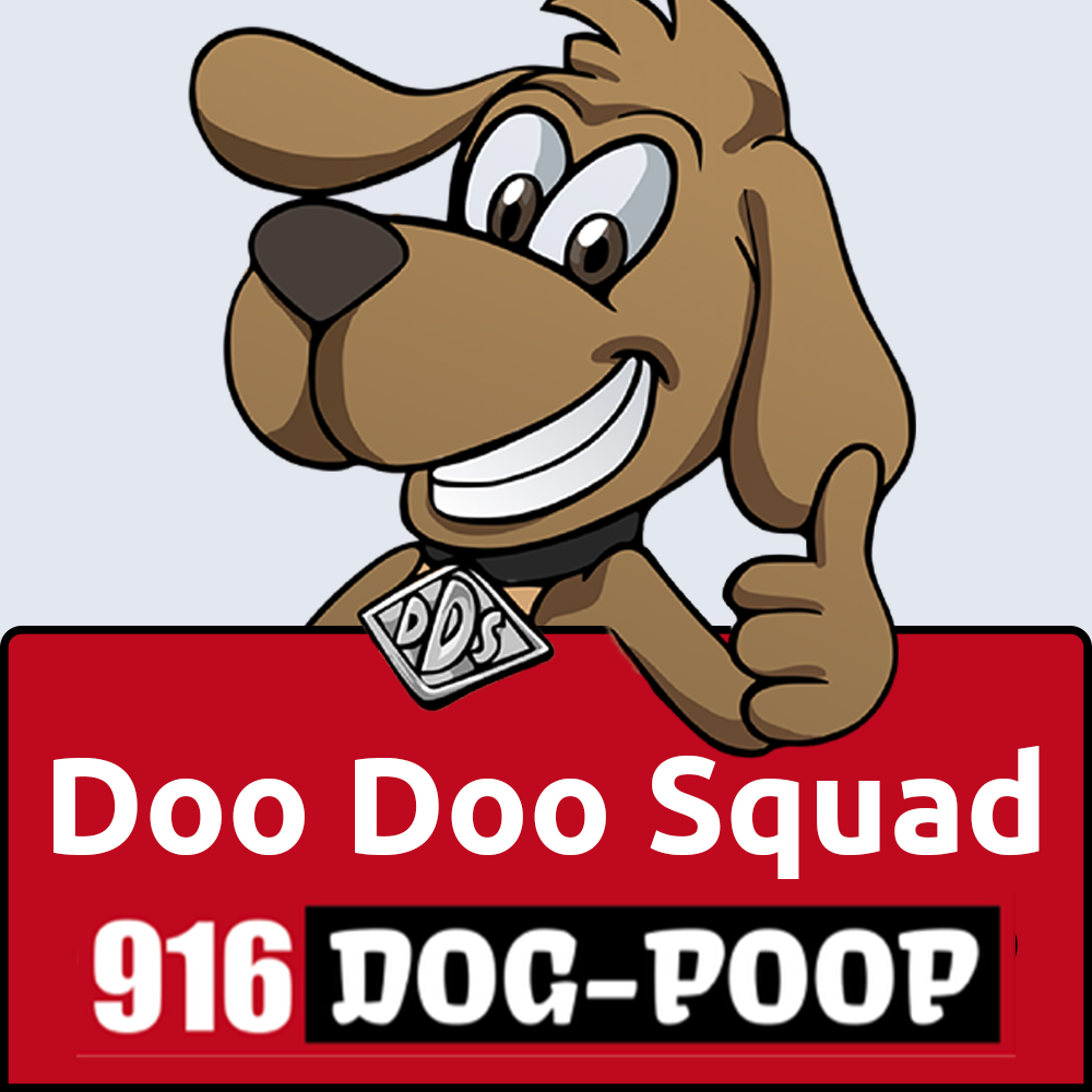Scooby Doo Poop Pick Up